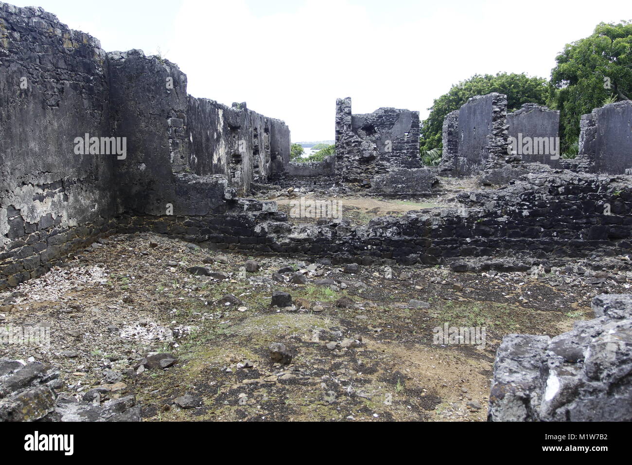 When Simonsz Gooyer, the first Dutch Governor of Mauritius, and his men ...