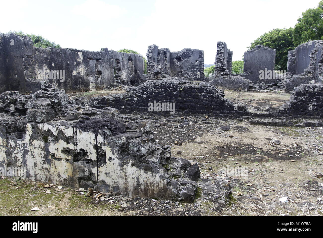 When Simonsz Gooyer, the first Dutch Governor of Mauritius, and his men ...