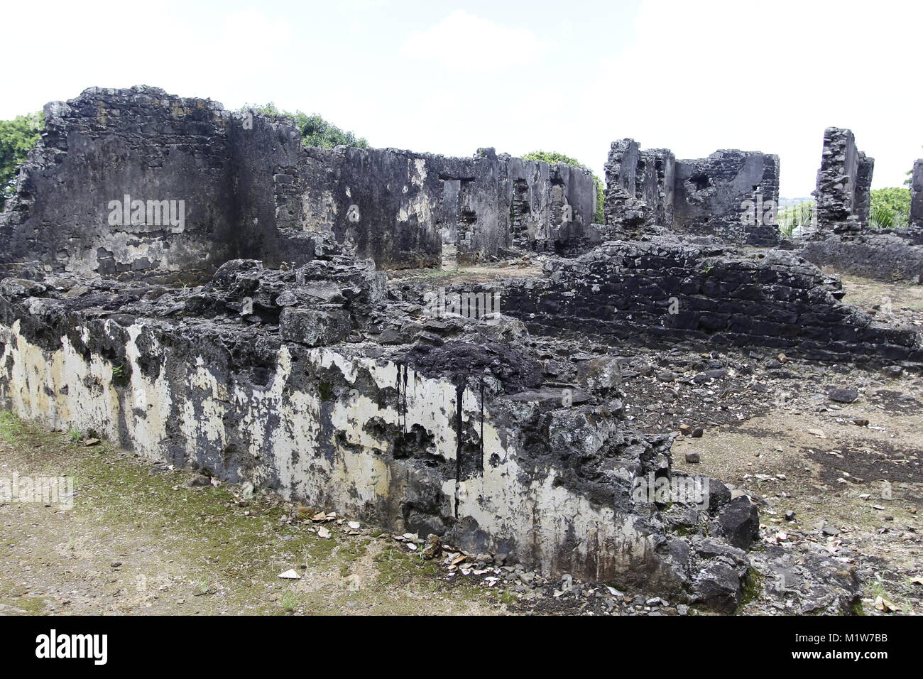 When Simonsz Gooyer, the first Dutch Governor of Mauritius, and his men ...