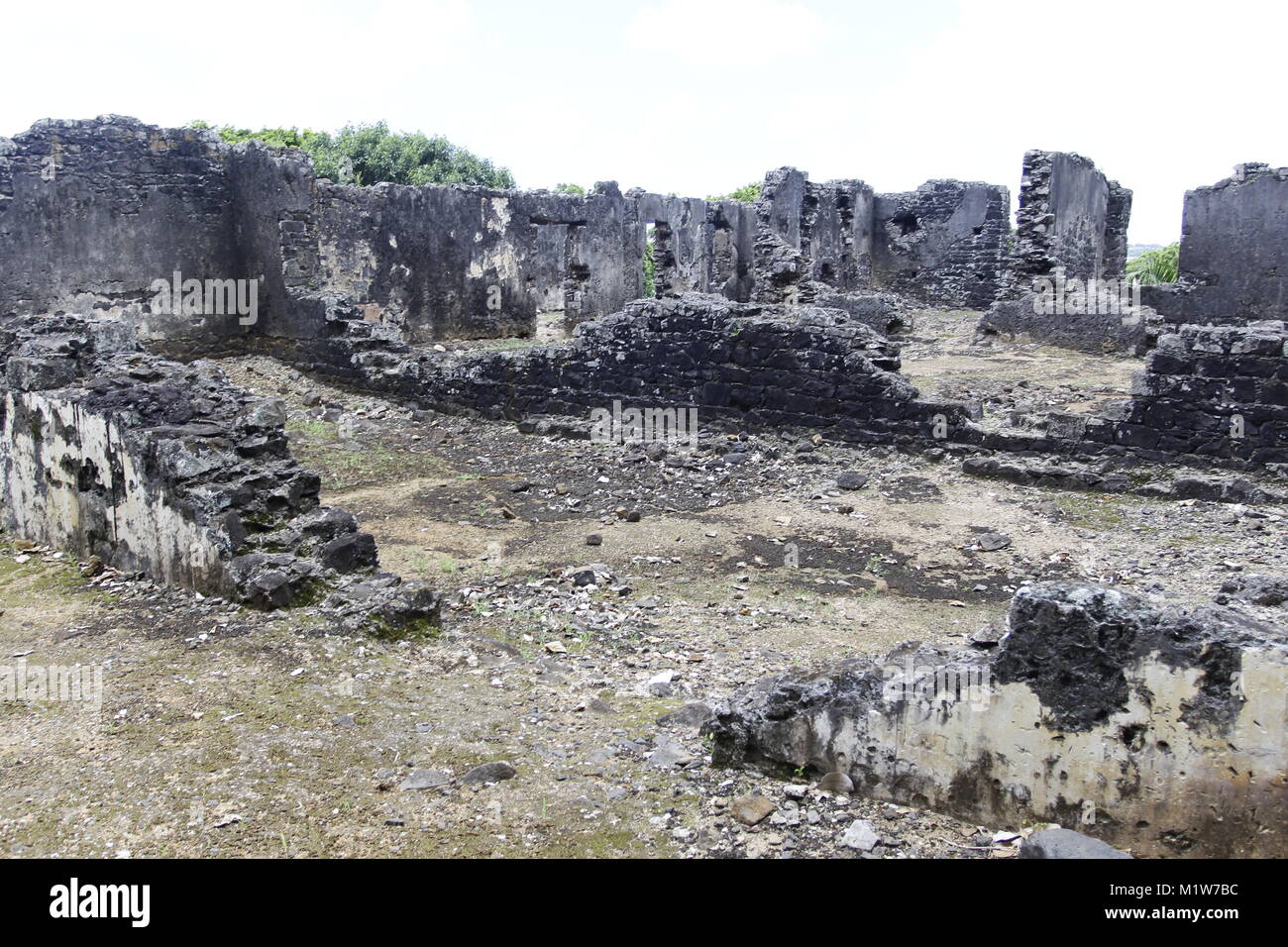 When Simonsz Gooyer, the first Dutch Governor of Mauritius, and his men ...