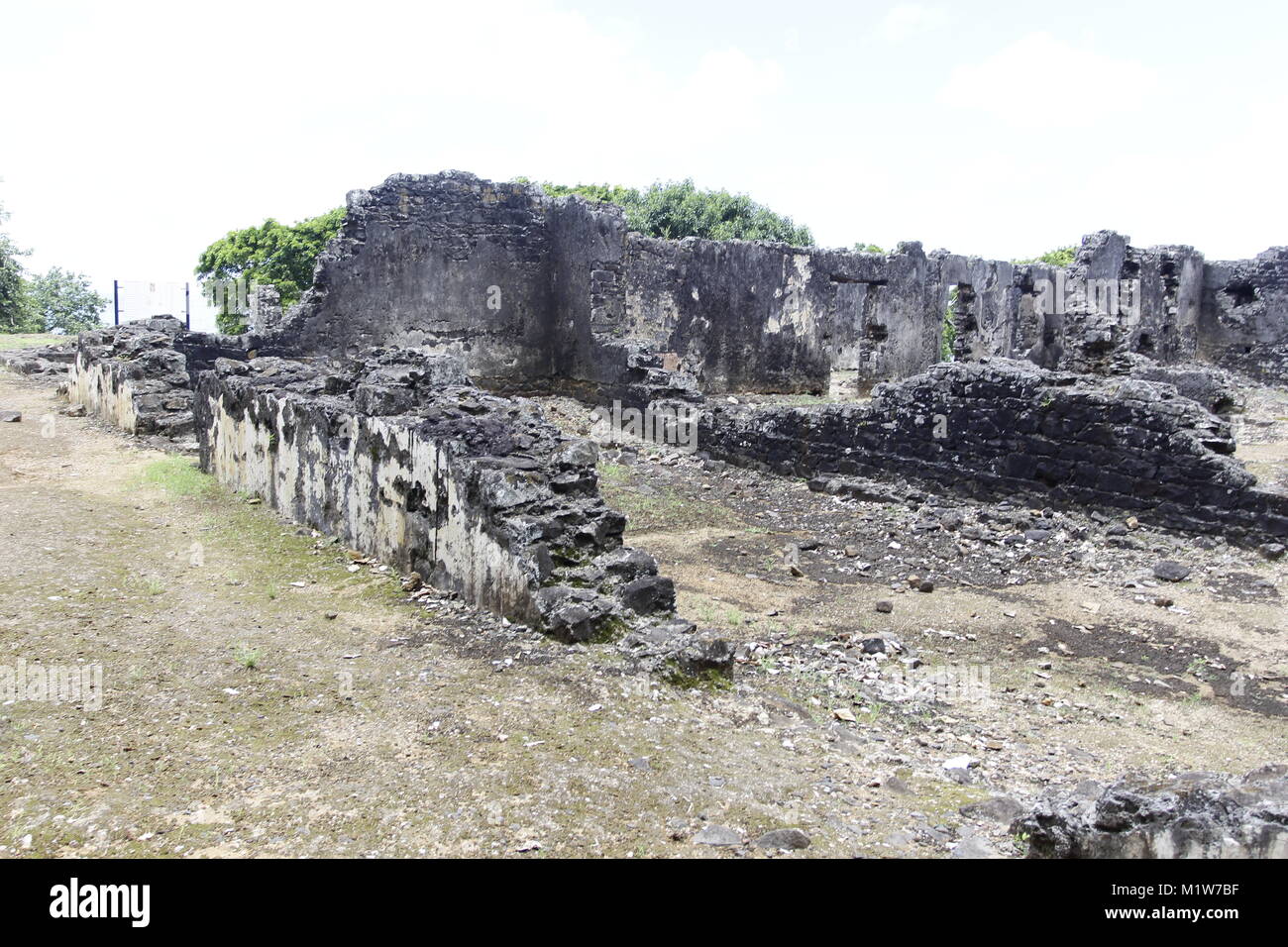 When Simonsz Gooyer, the first Dutch Governor of Mauritius, and his men ...