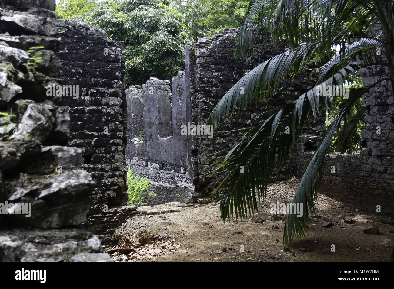 When Simonsz Gooyer, the first Dutch Governor of Mauritius, and his men ...