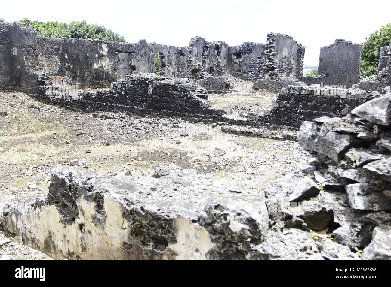 When Simonsz Gooyer, the first Dutch Governor of Mauritius, and his men ...