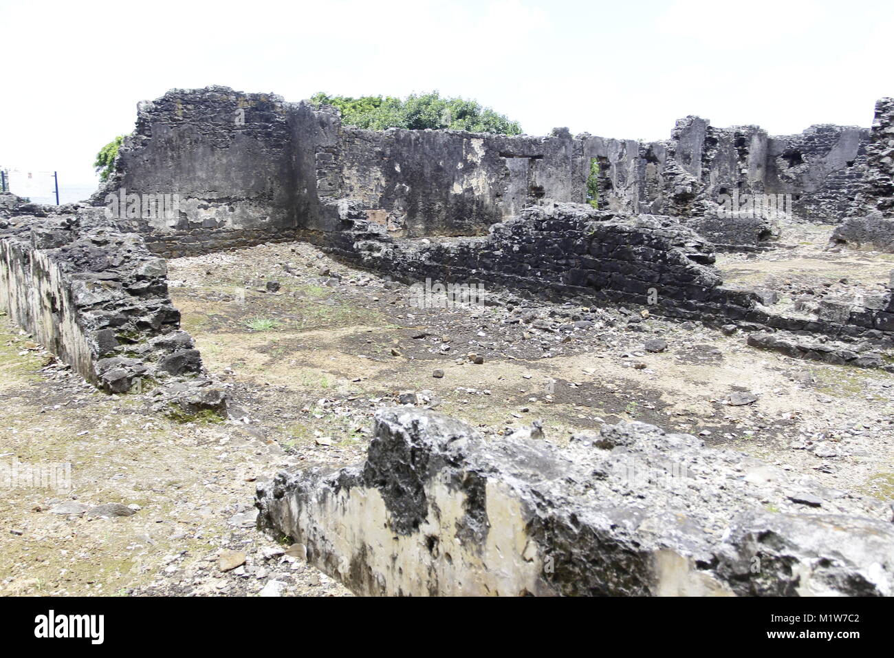 When Simonsz Gooyer, the first Dutch Governor of Mauritius, and his men ...