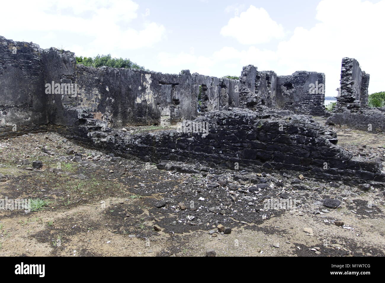 When Simonsz Gooyer, the first Dutch Governor of Mauritius, and his men ...
