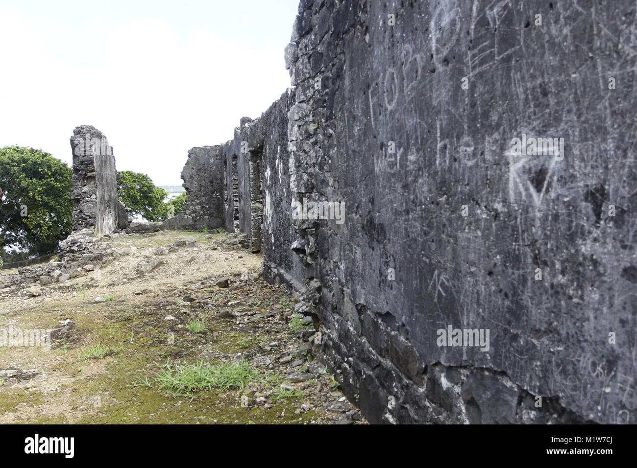 When Simonsz Gooyer, the first Dutch Governor of Mauritius, and his men ...