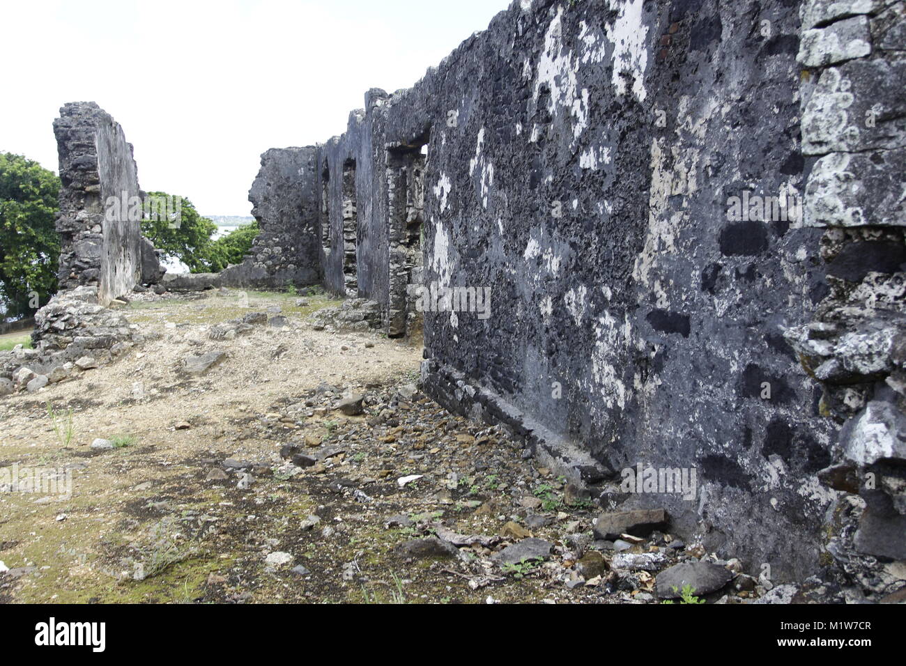 When Simonsz Gooyer, the first Dutch Governor of Mauritius, and his men ...