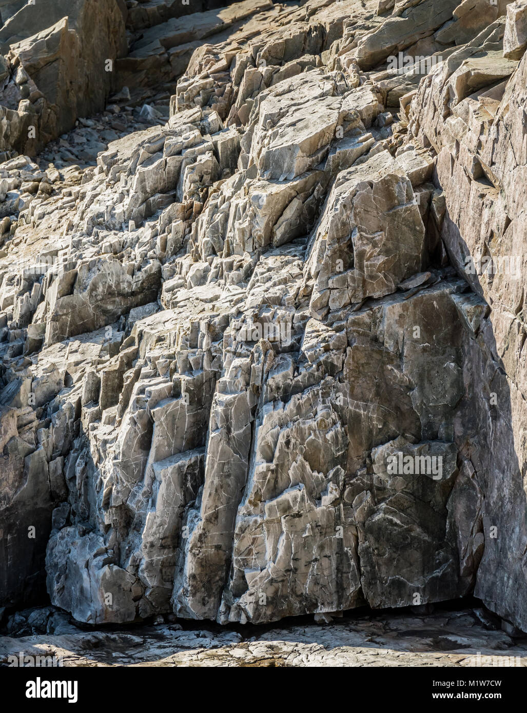 Jagged Rocks on Maine Coast in Acadia National Park Stock Photo - Alamy