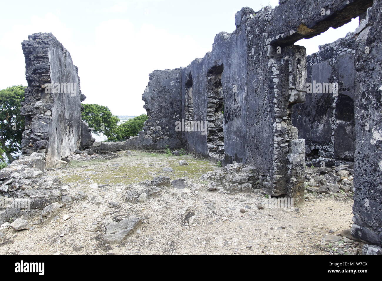 When Simonsz Gooyer, the first Dutch Governor of Mauritius, and his men ...