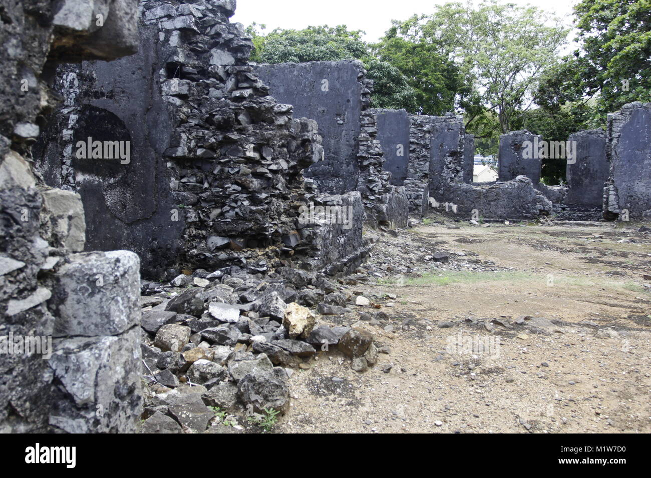 When Simonsz Gooyer, the first Dutch Governor of Mauritius, and his men ...