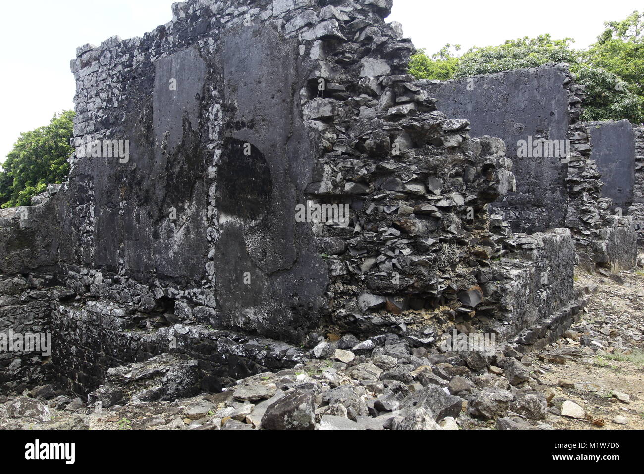 When Simonsz Gooyer, the first Dutch Governor of Mauritius, and his men ...