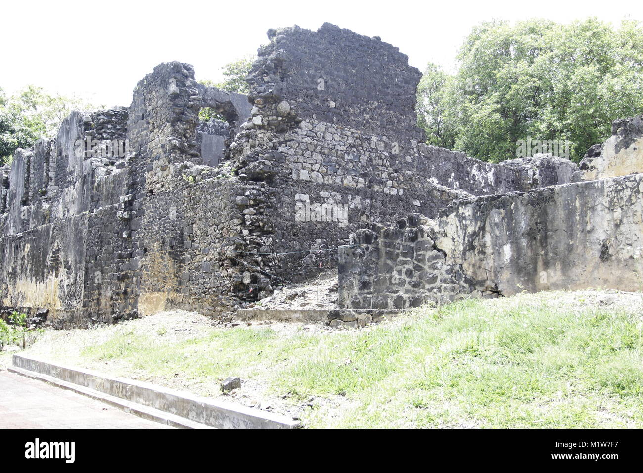 When Simonsz Gooyer, the first Dutch Governor of Mauritius, and his men ...