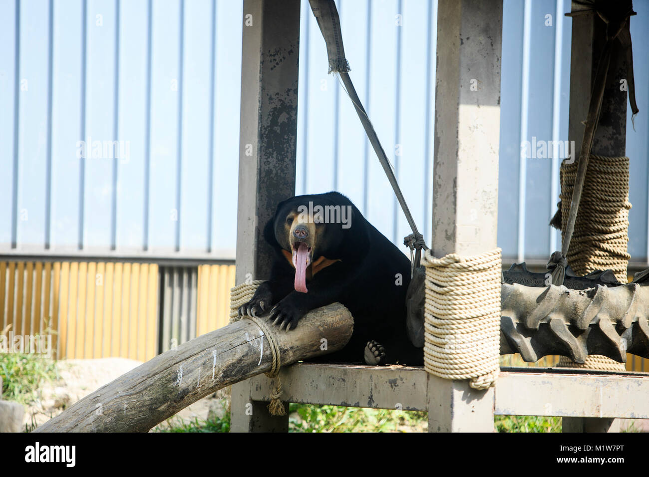 Animals in a zoo. various wild animals photo. 109 Stock Photo - Alamy
