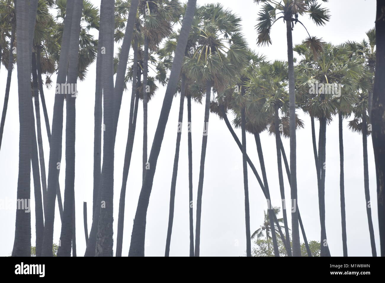 Sky isand hi-res stock photography and images - Alamy