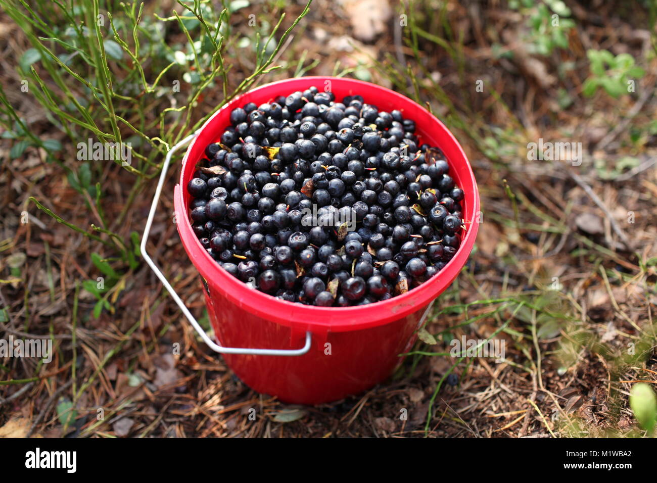 Full bucket hi-res stock photography and images - Alamy