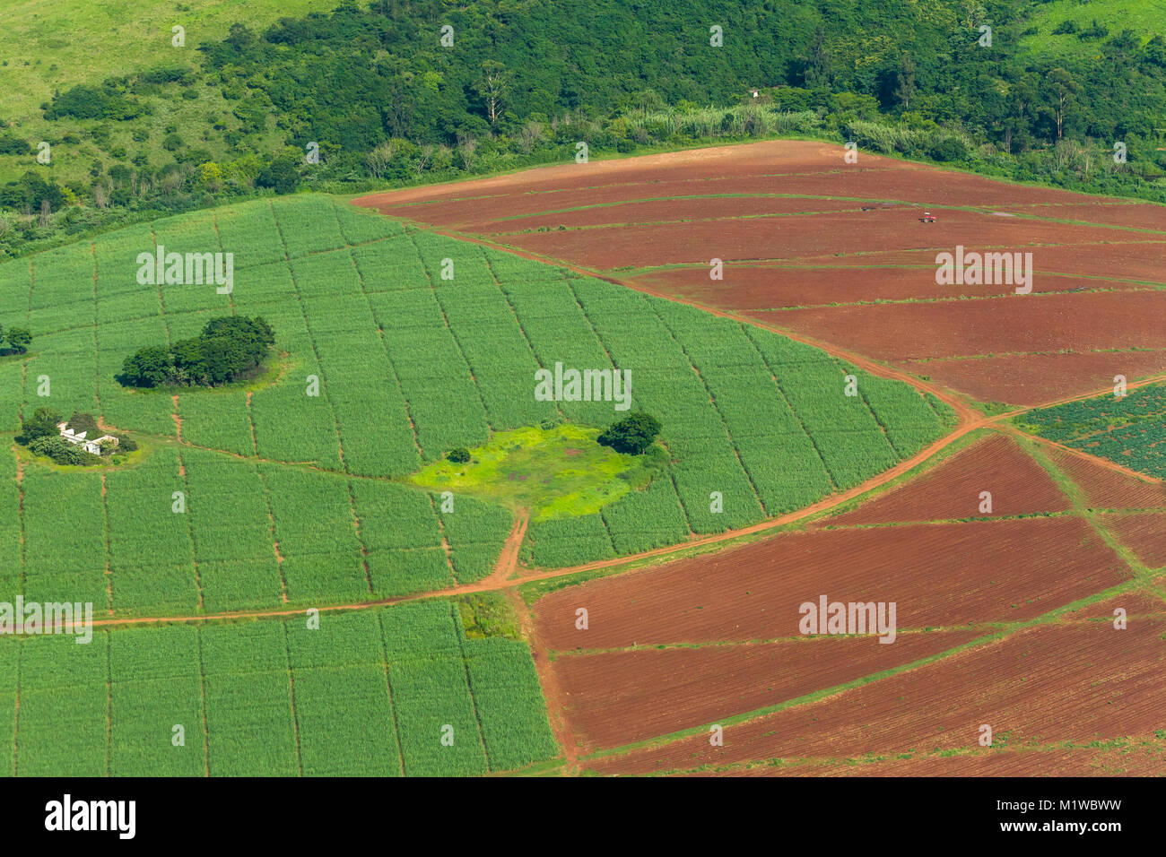 Flying birds-eye view farmlands crops plowed fields landscape summer ...