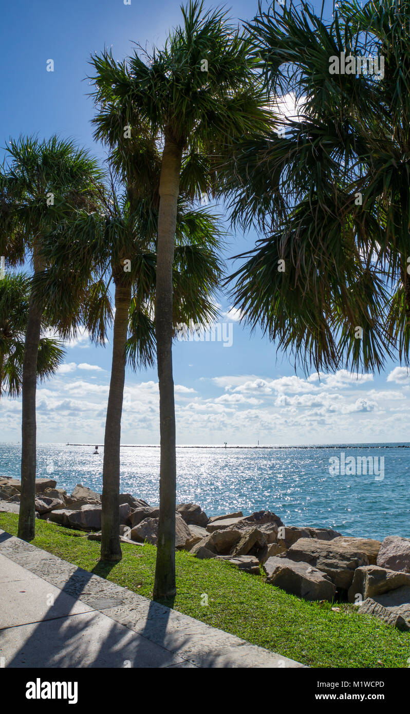 Miami rocks hi-res stock photography and images - Alamy
