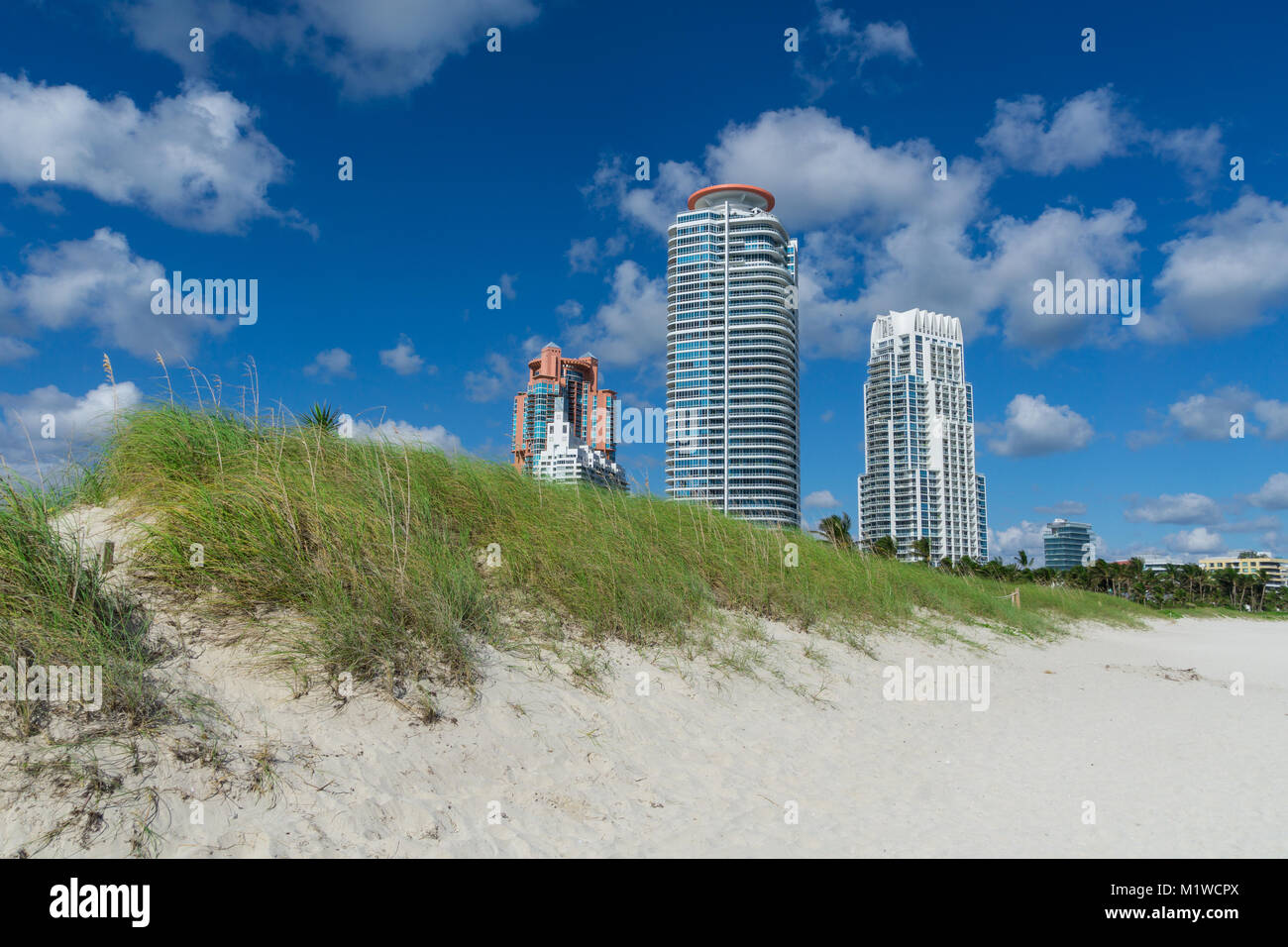 USA, Florida, Miami beach sand dunes with intense blue sky and sun and ...