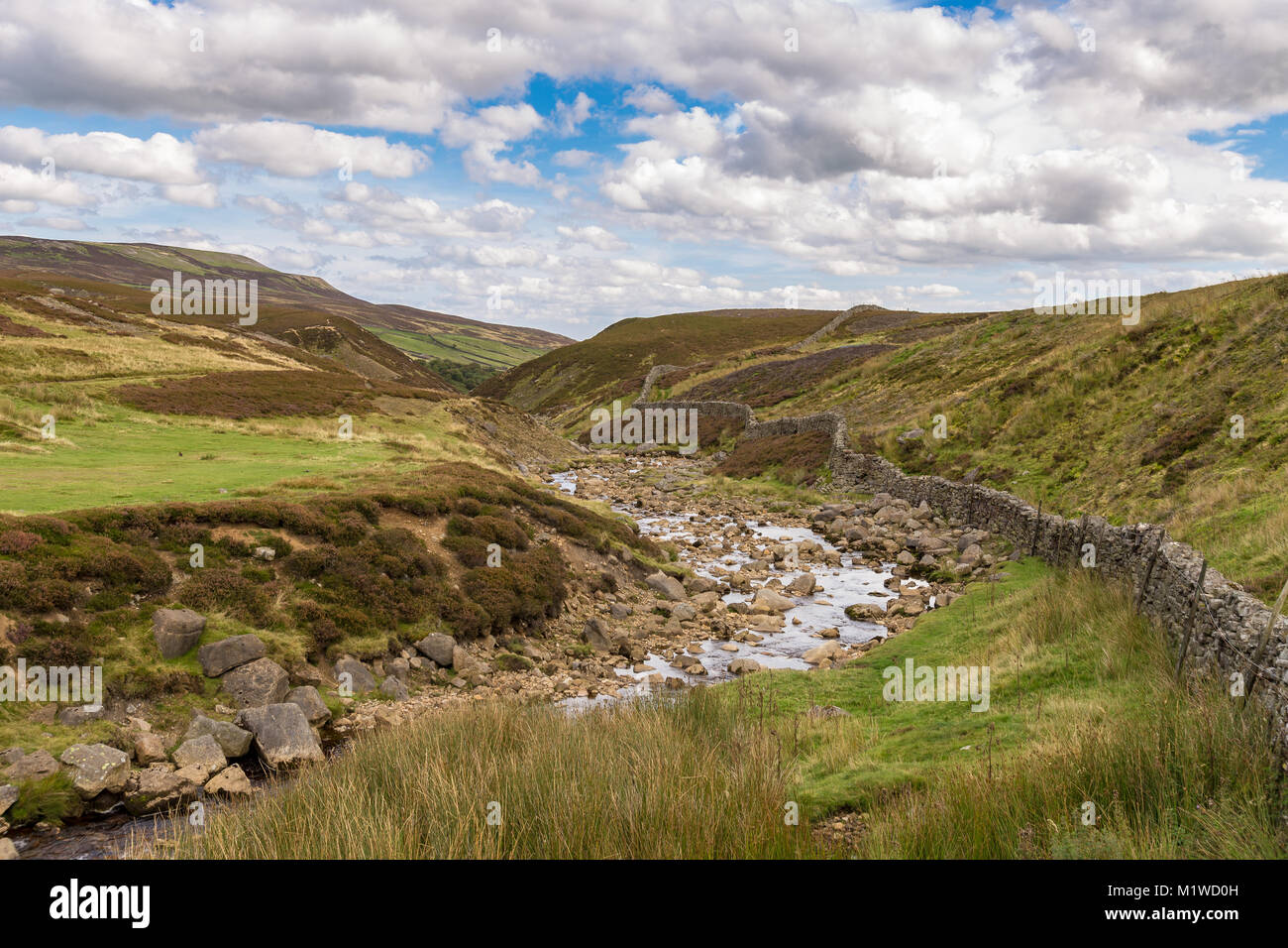 Yorkshire Dales landscape near Surrender Bridge, between Feetham and ...