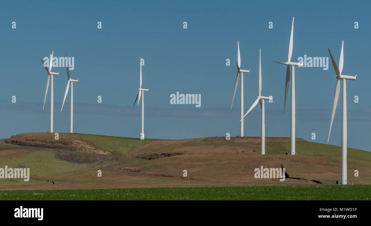 Wind turbines in eastern Washington Stock Photo - Alamy
