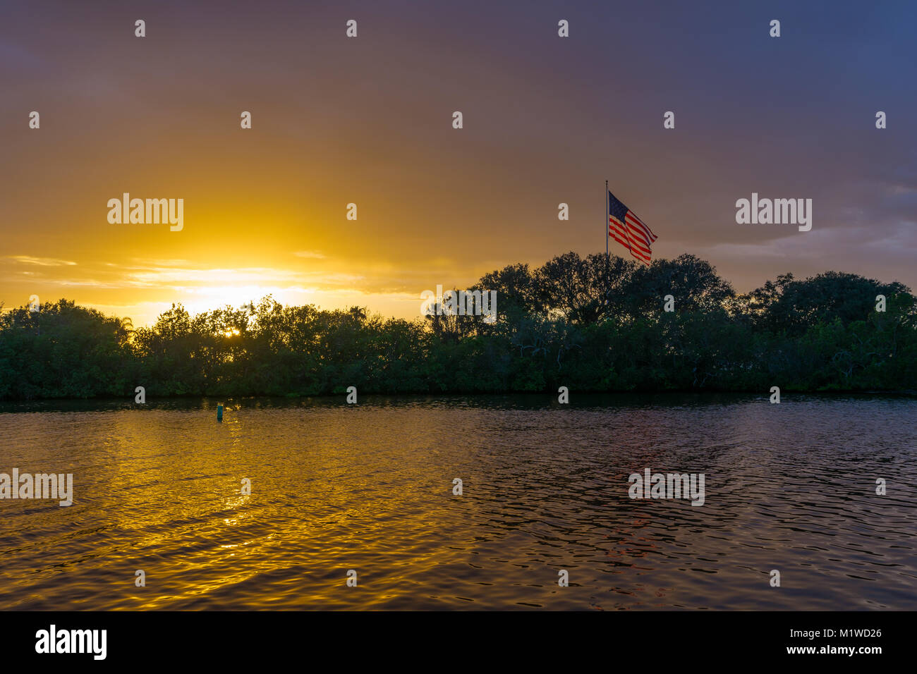 USA, Florida, Fantastic orange sunset on water, green plants and ...