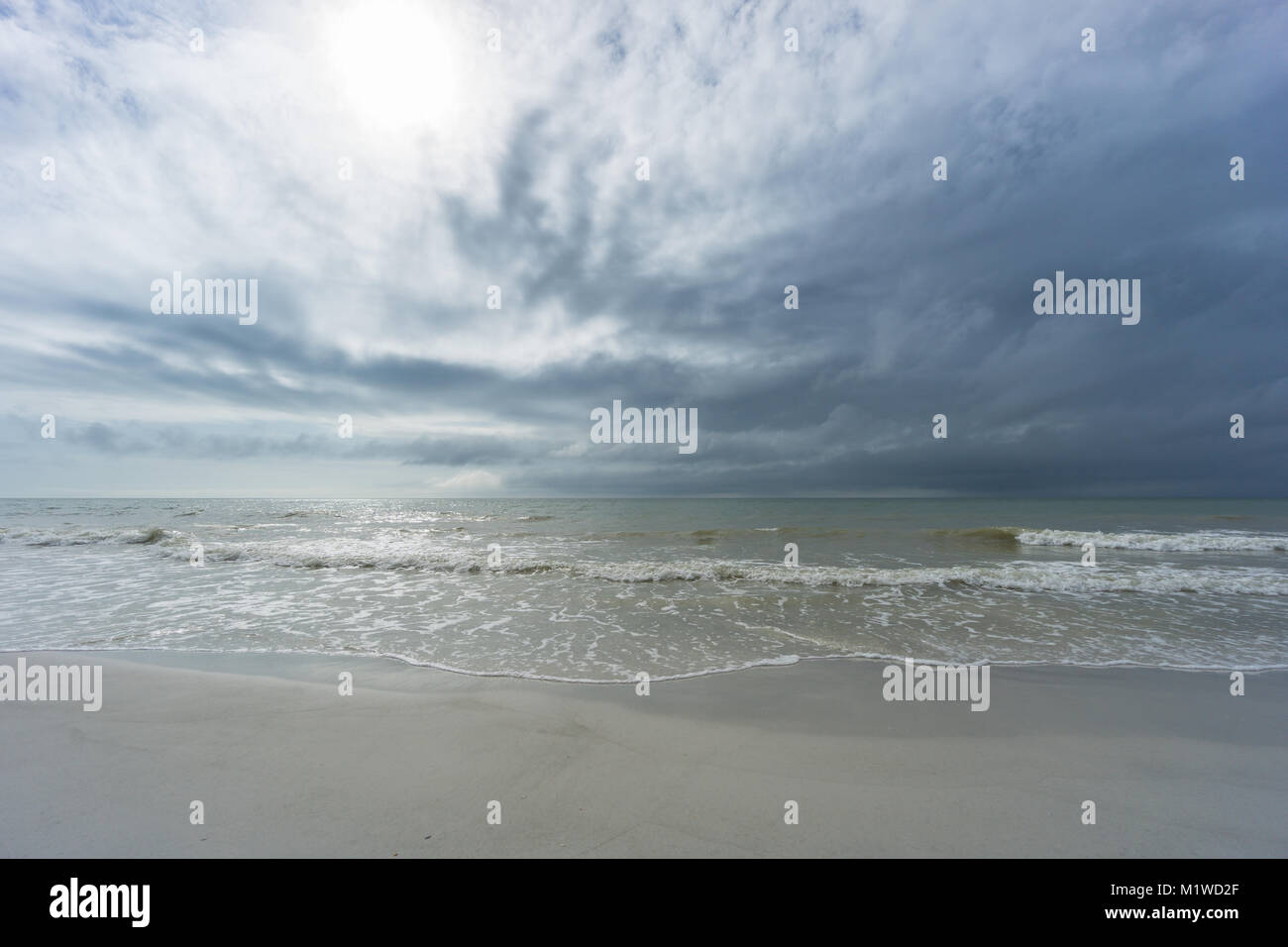 USA, Florida, Empty and untouched beach of tampa with sun and little ...