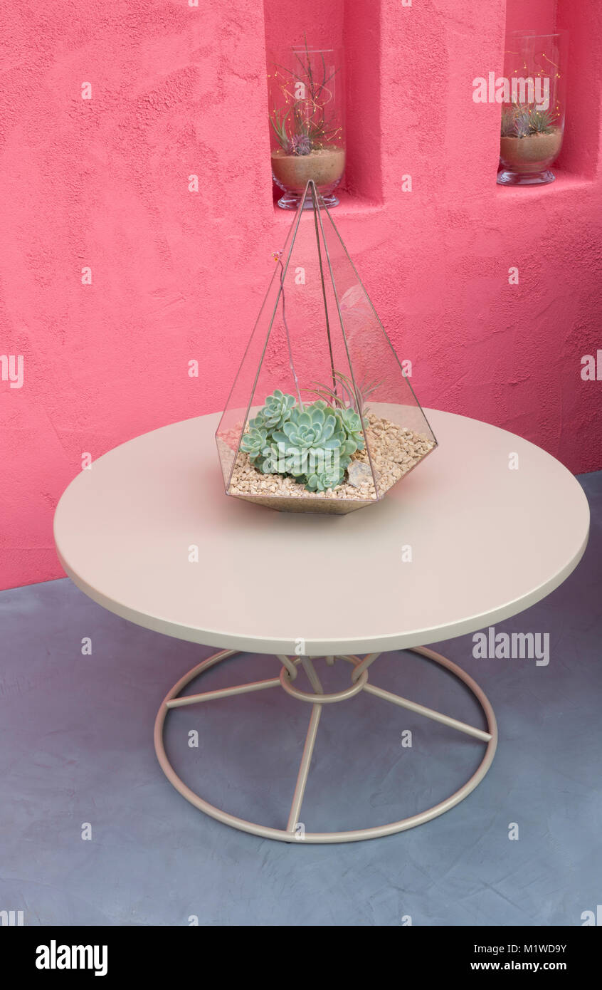 Garden with Outdoor table terrarium with succulent plants display Stock ...