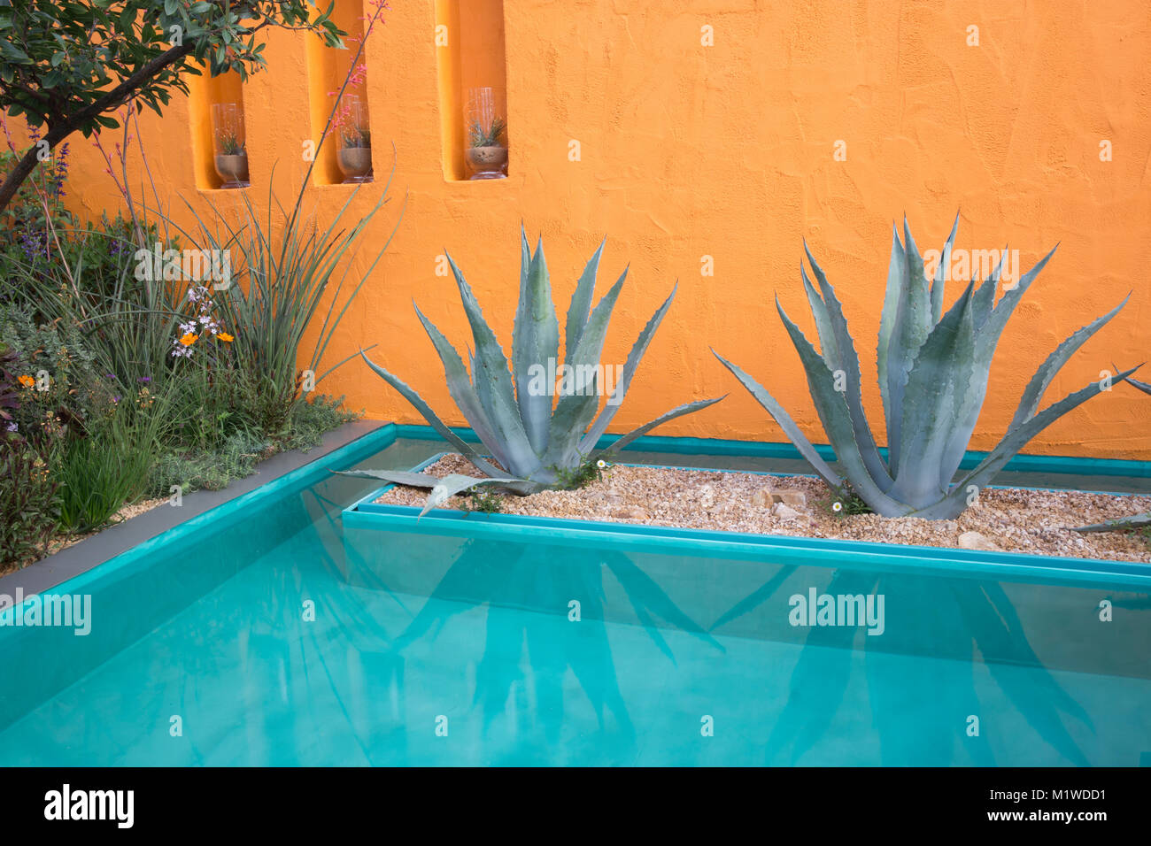 Colourful garden walls hi-res stock photography and images - Alamy