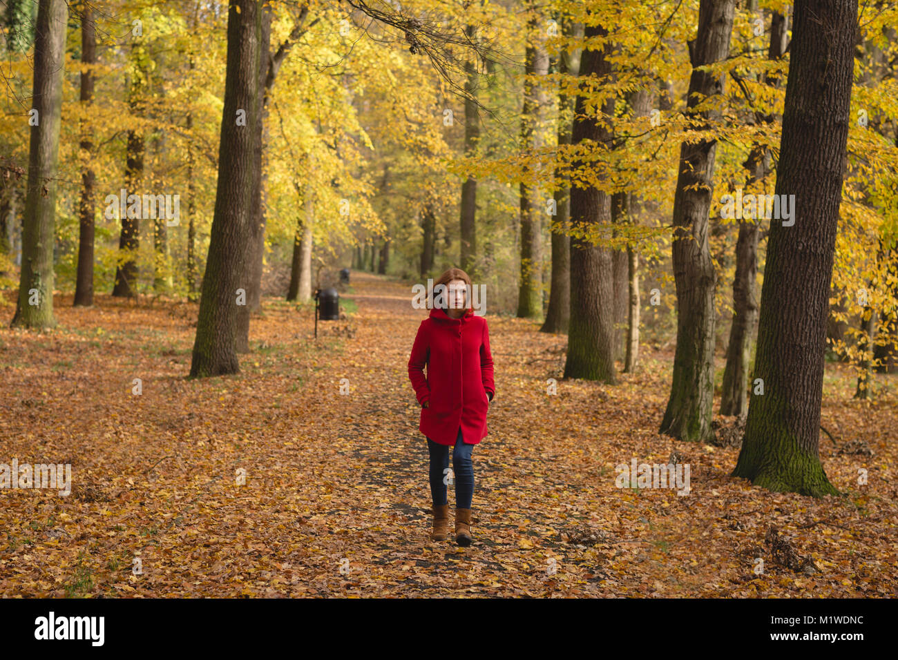 Woman walking alone in the park Stock Photo - Alamy