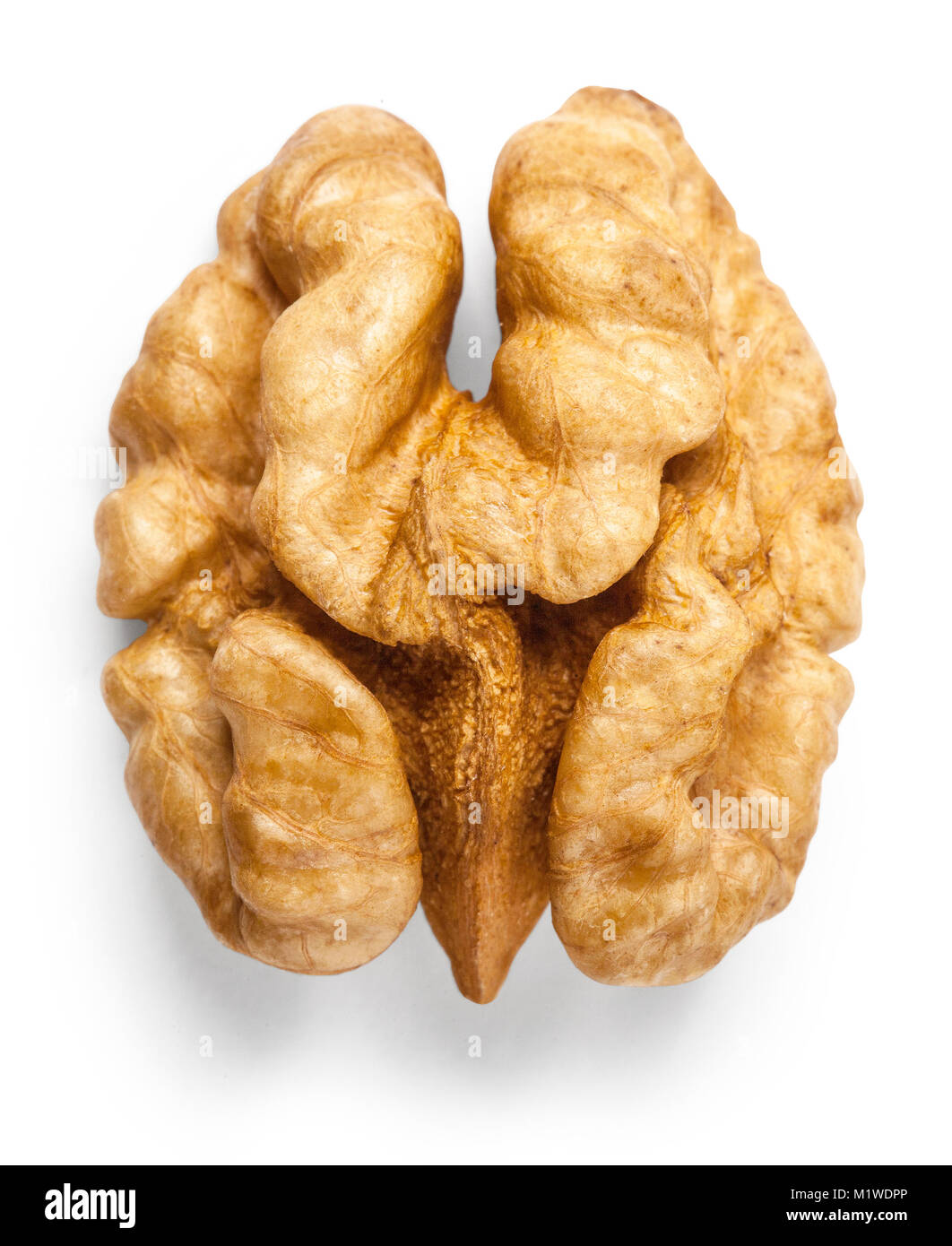 Kernel walnut isolated on the white background closeup. with clipping ...