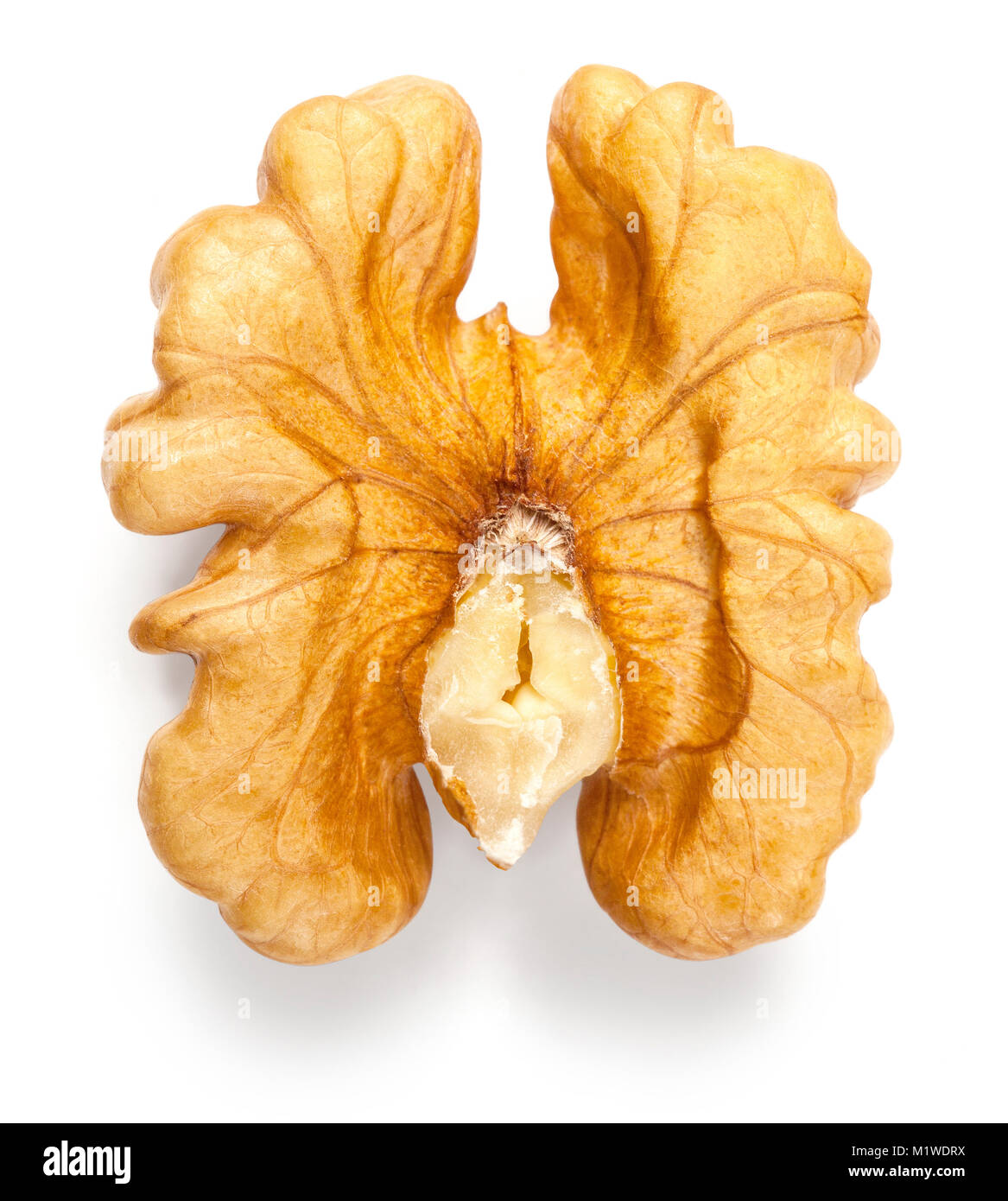 Kernel walnut isolated on the white background closeup. with clipping ...