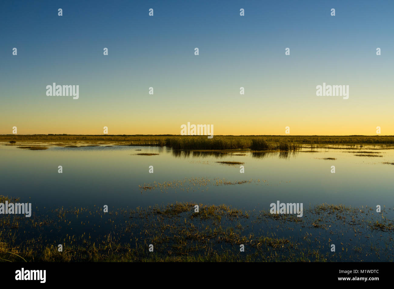 USA, Florida, Evening atmosphere over everglades national park with ...