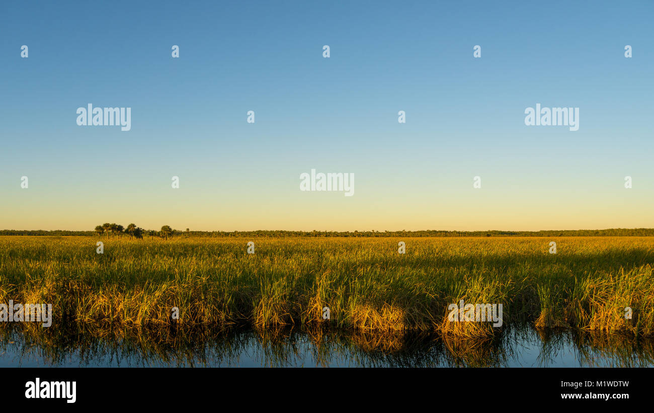 USA, Florida, Endless wide sawgrass landscape of everglades at dawn ...