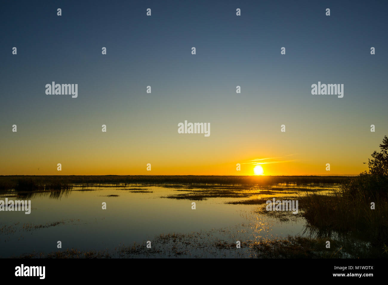 Sawgrass sunset hi-res stock photography and images - Alamy