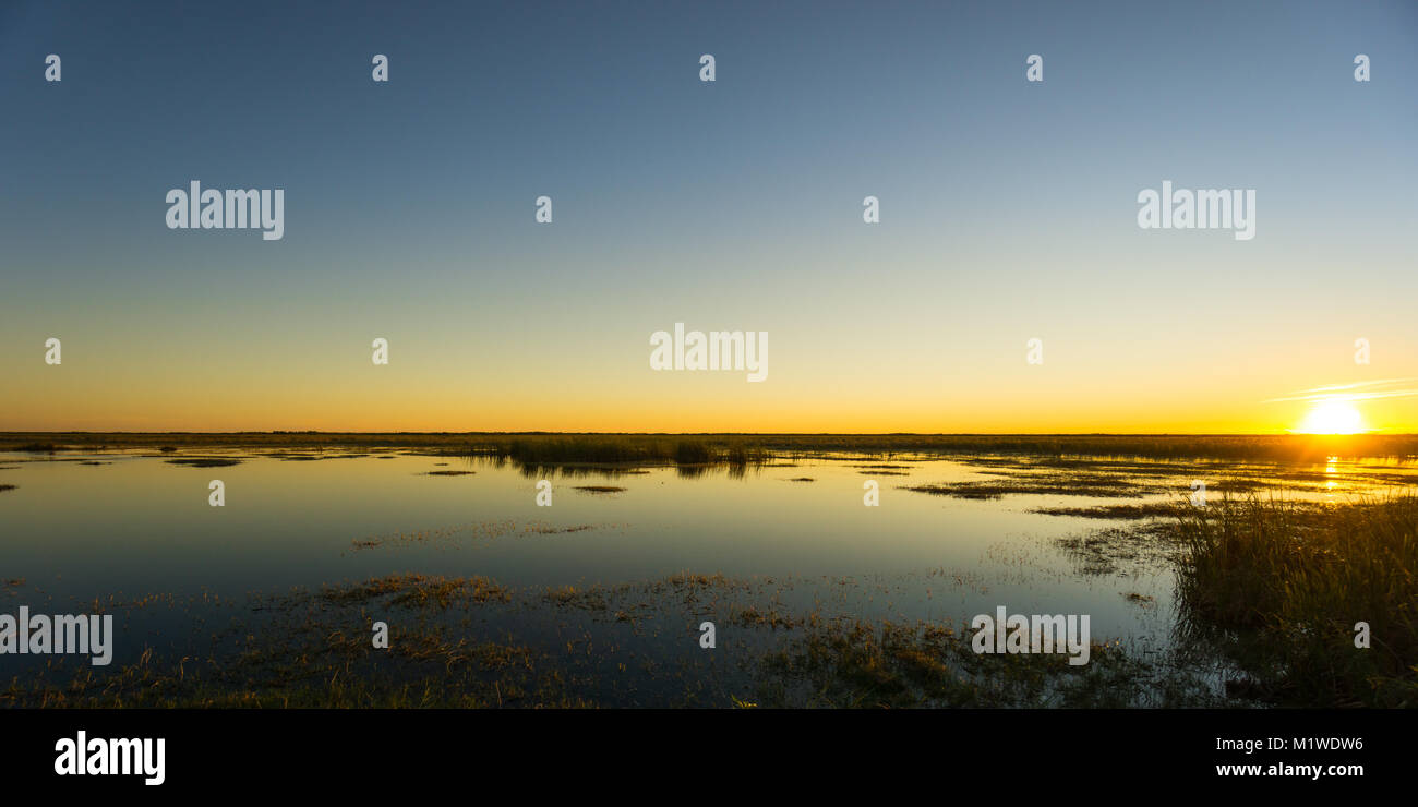 Everglades sawgrass sunset hi-res stock photography and images - Alamy