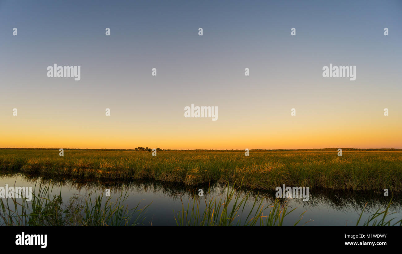 Everglades sawgrass sunset hi-res stock photography and images - Alamy