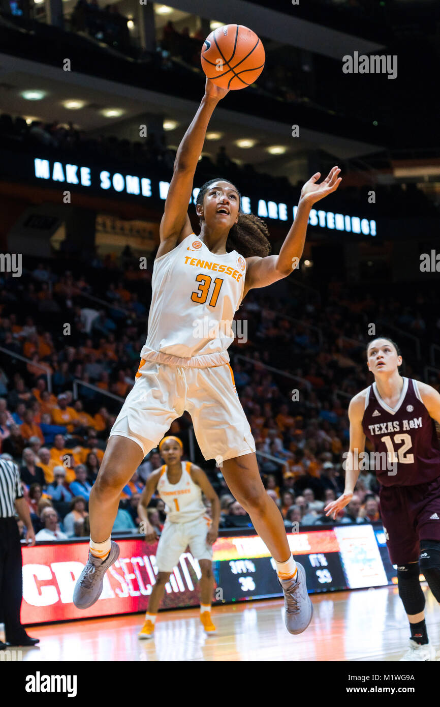 February 1, 2018: Jaime Nared #31 of the Tennessee Lady Volunteers ...