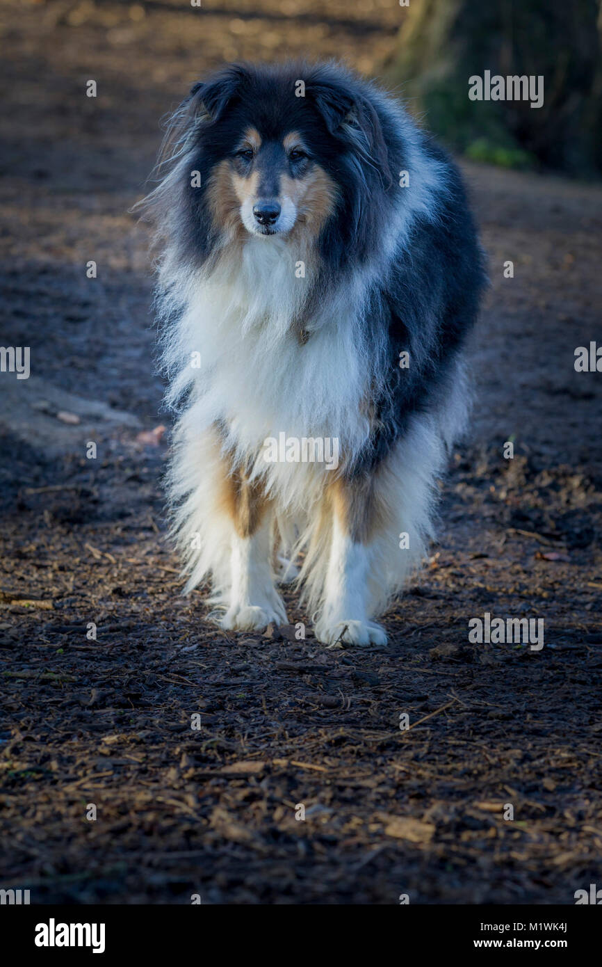 Long strolls hi-res stock photography and images - Alamy