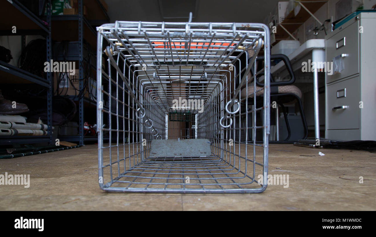 Trap mechanism hi-res stock photography and images - Alamy