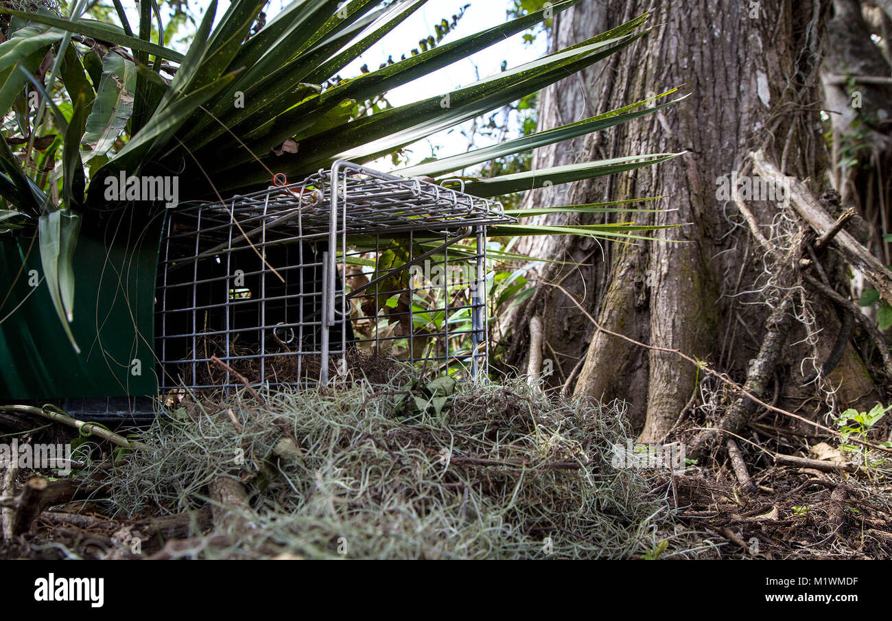 Trap mechanism hi-res stock photography and images - Alamy