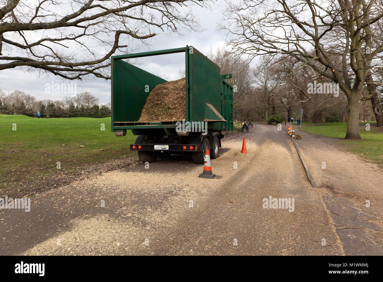 Removing The Felled Trees High Resolution Stock Photography and Images ...
