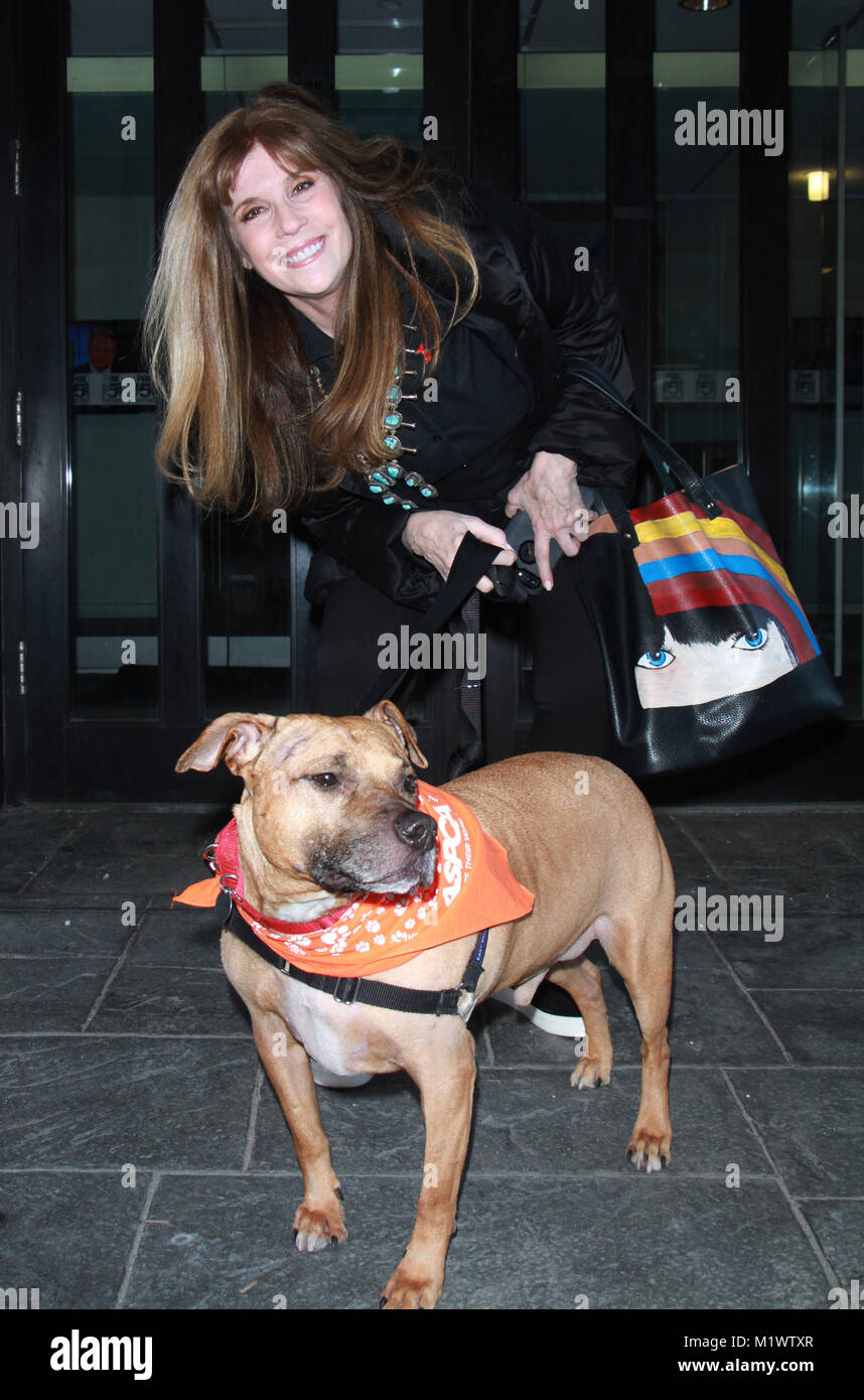 Jill rappaport hi-res stock photography and images - Alamy