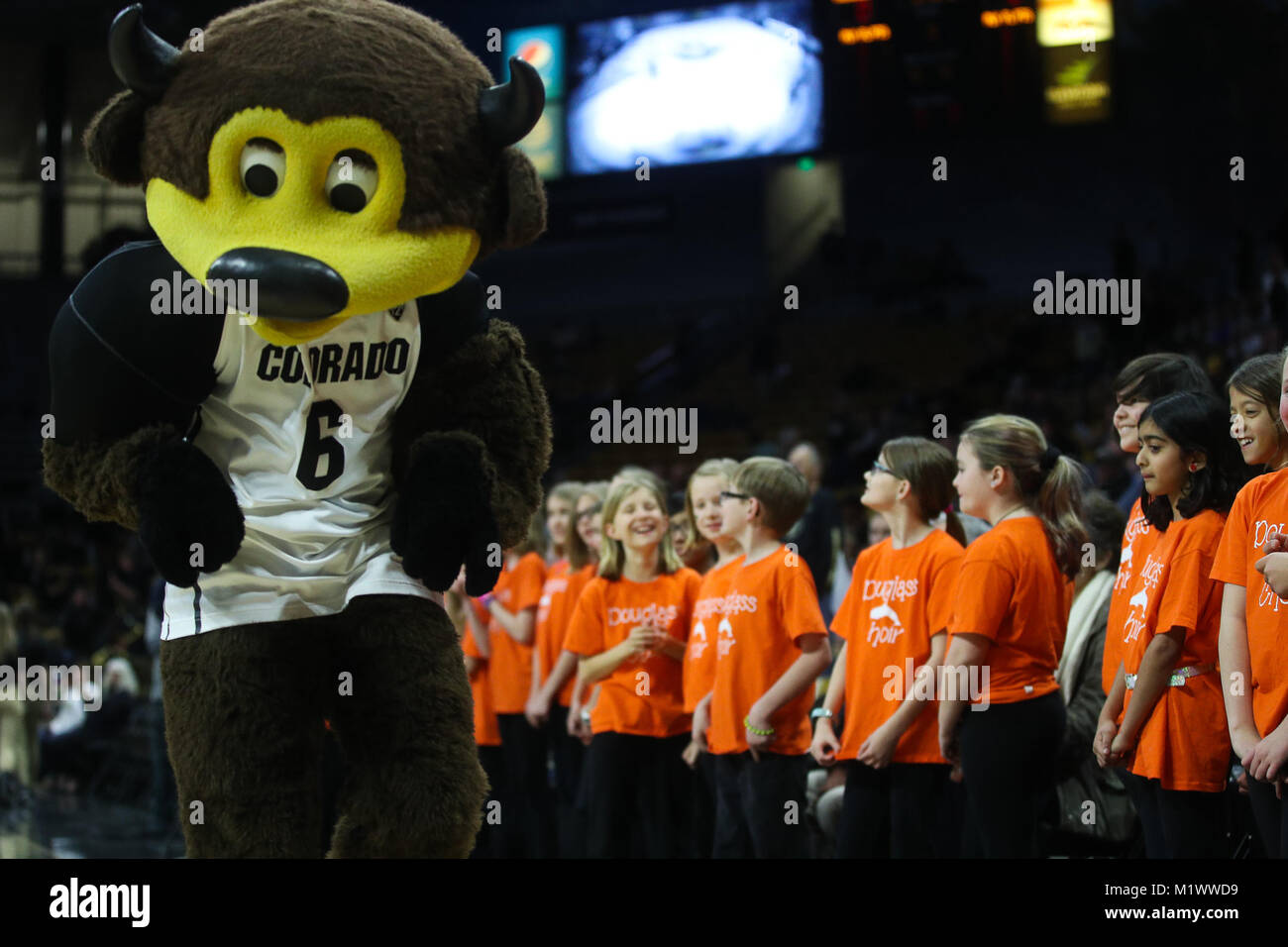 Boulder. 2nd Feb, 2018. The Colorado mascot Chip the Buffalo entertains ...
