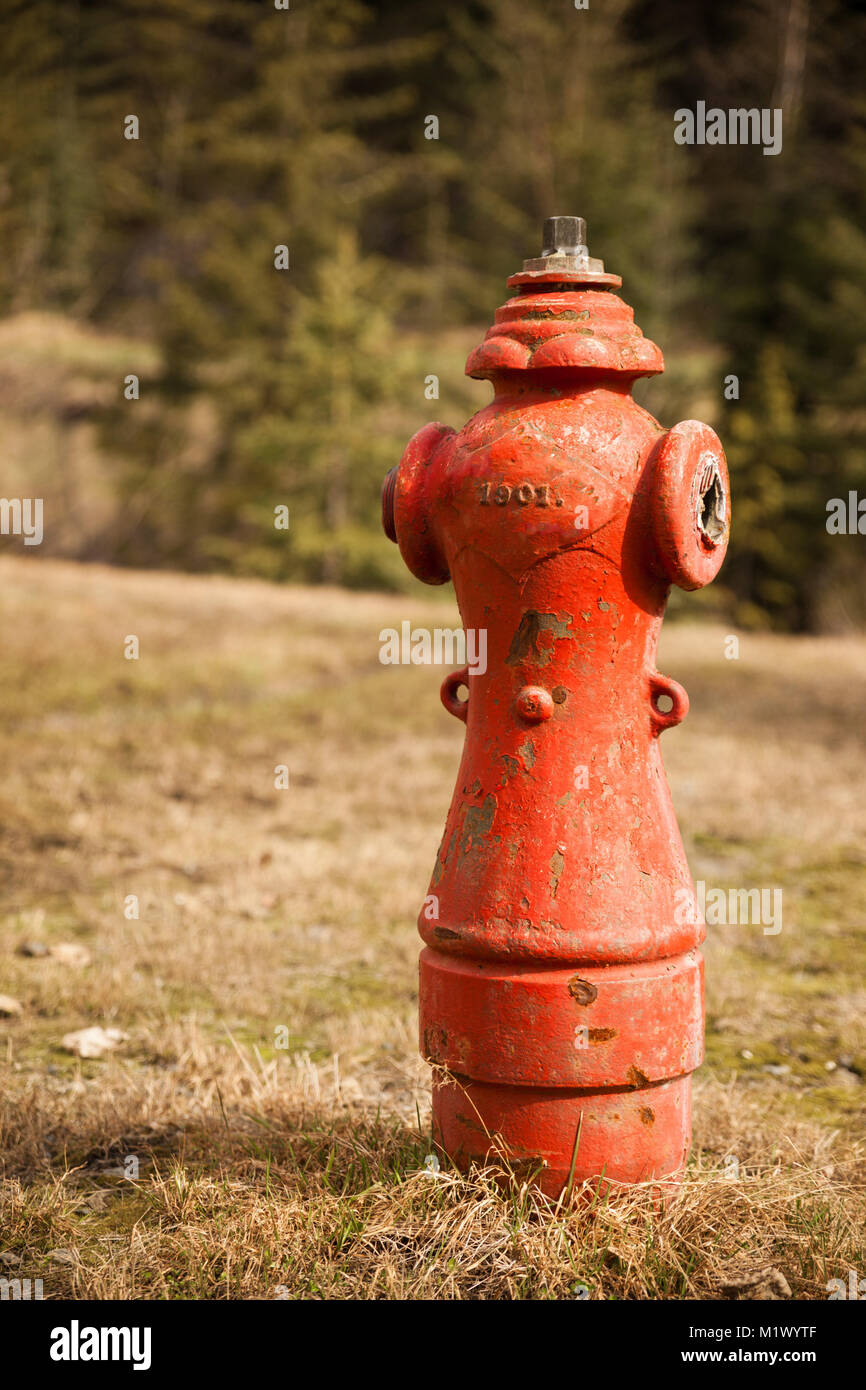 Antique fire hydrant hi-res stock photography and images - Alamy