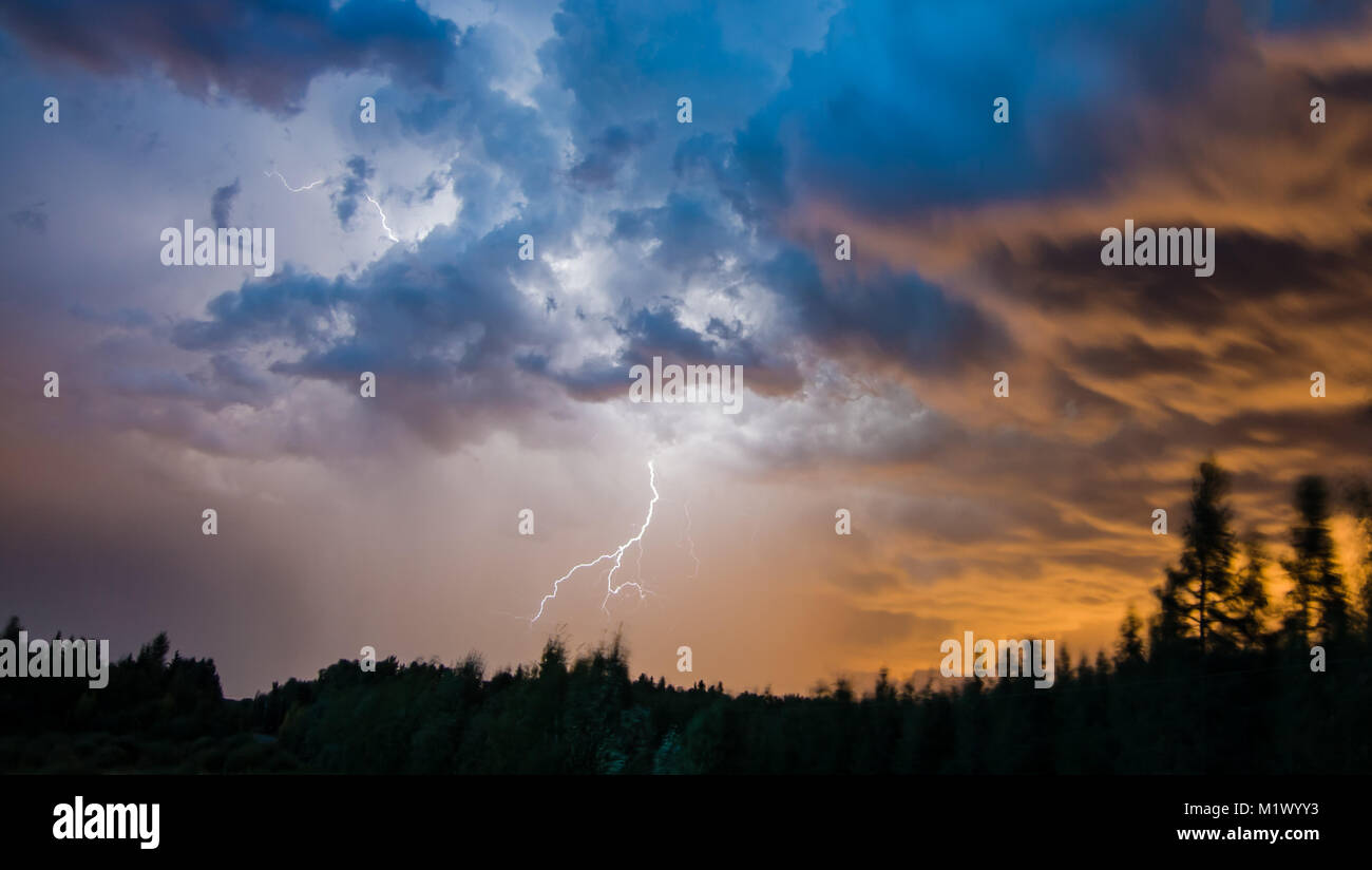 Lightning strike forest hi-res stock photography and images - Alamy