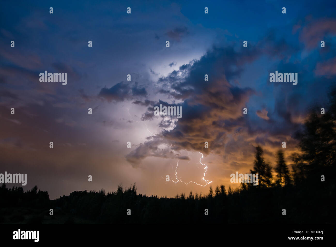 Lightning strike forest hi-res stock photography and images - Alamy