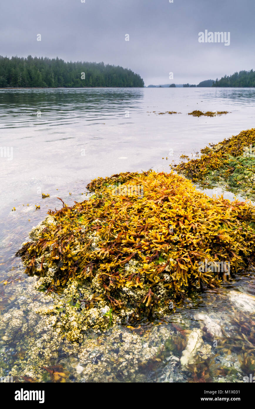 Broken group islands hi-res stock photography and images - Alamy