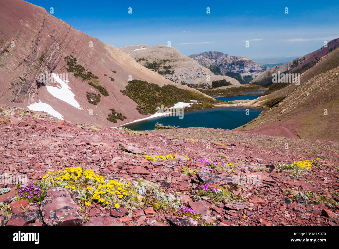 Carthew alderson trail hi-res stock photography and images - Alamy