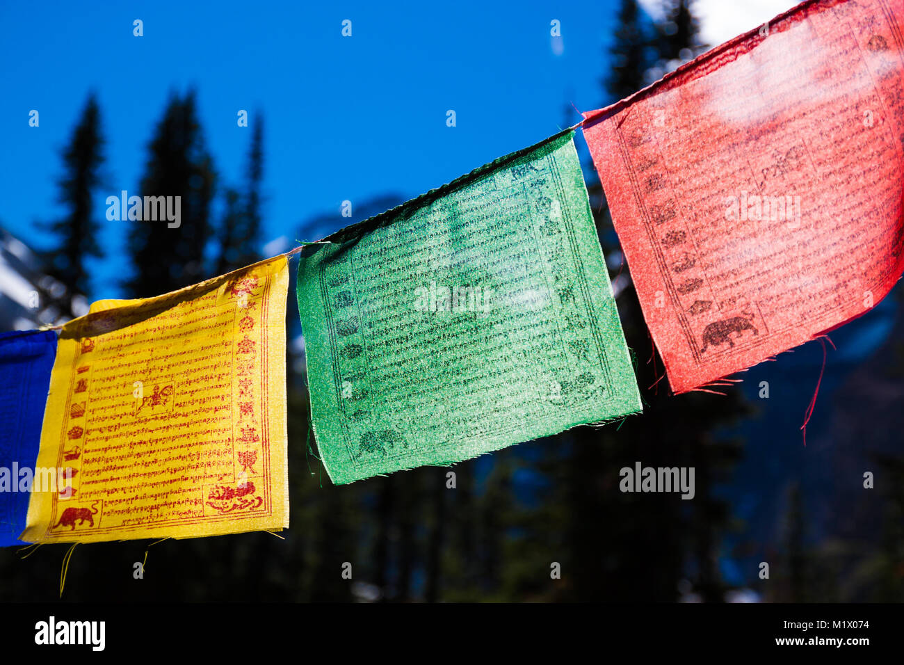 a string of colorful backlit Himalayan prayer flags Stock Photo - Alamy