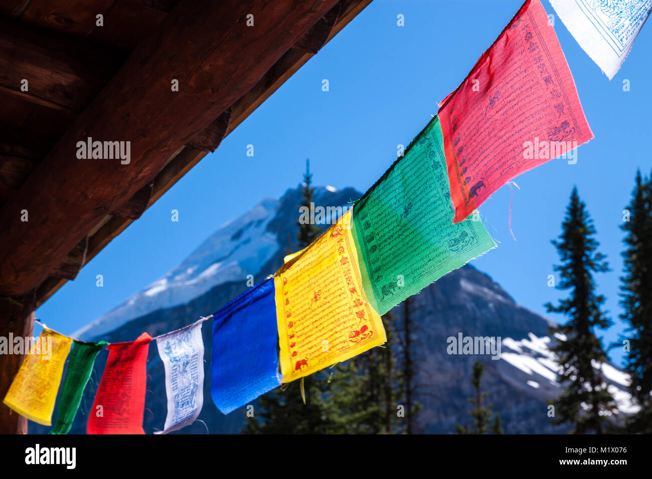 a string of colorful backlit Himalayan prayer flags Stock Photo - Alamy
